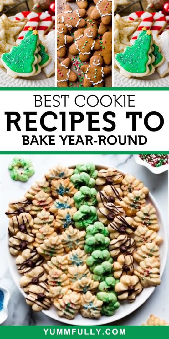 27 Best Cookie Recipes To Bake Year-Round - Yummy and fully