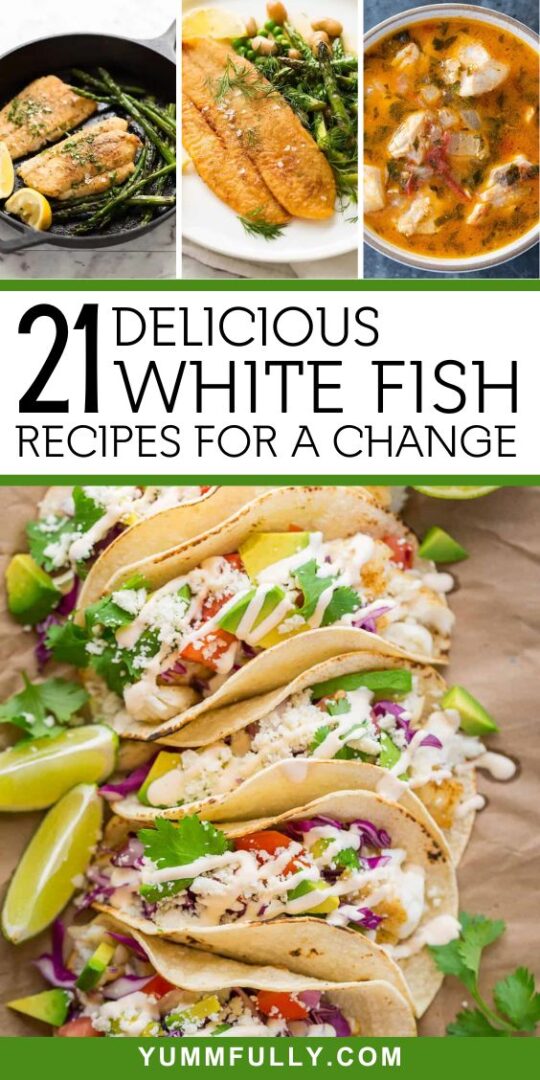 21 Delicious White Fish Recipes For A Change - Yummy and fully
