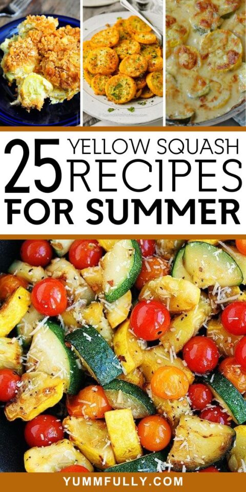 25 Yellow Squash Recipes for Summer Lovin - Yummy and fully