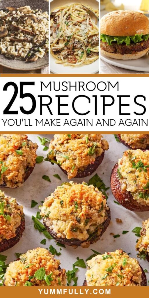 25 Mushroom Recipes You’ll Make Again and Again – Yummy and fully