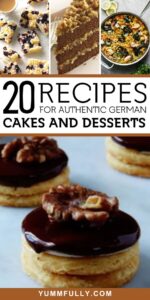 20 Recipes for Authentic German Cakes and Desserts - Yummy and fully