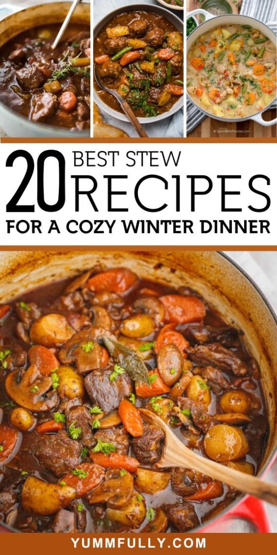 20 Best Stew Recipes for a Cozy Winter Dinner - Yummy and fully