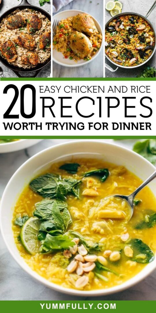 20 Easy Chicken and Rice Recipes Worth Trying for Dinner – Yummy and fully