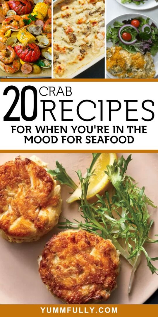 20+ Crab Recipes for When You’re in the Mood for Seafood – Yummy and fully