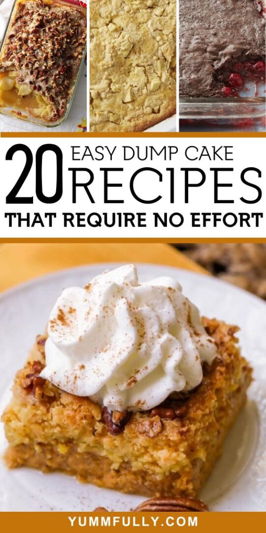 20 Easy Dump Cake Recipes That Require No Effort - Yummy and fully