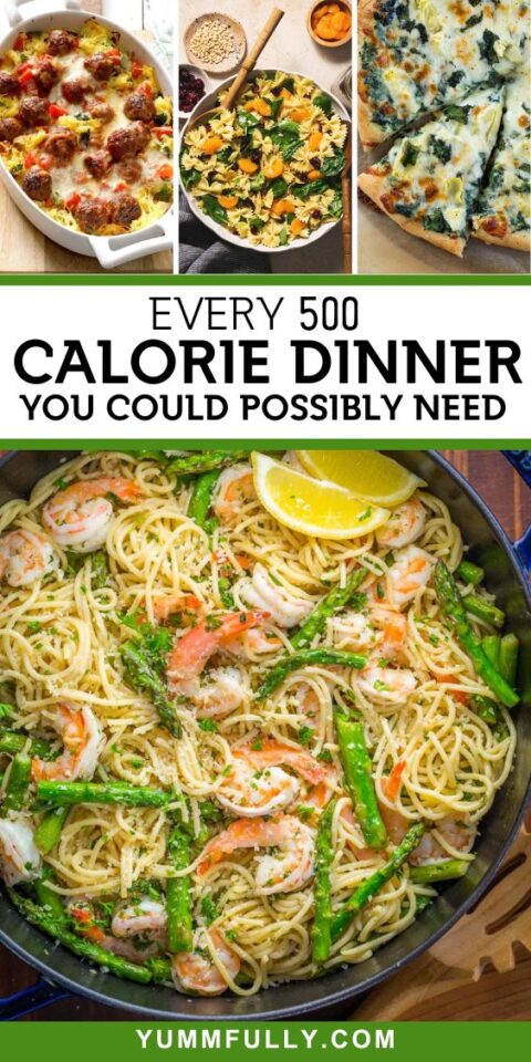 Every 500-calorie dinner you could possibly need - Yummy and fully