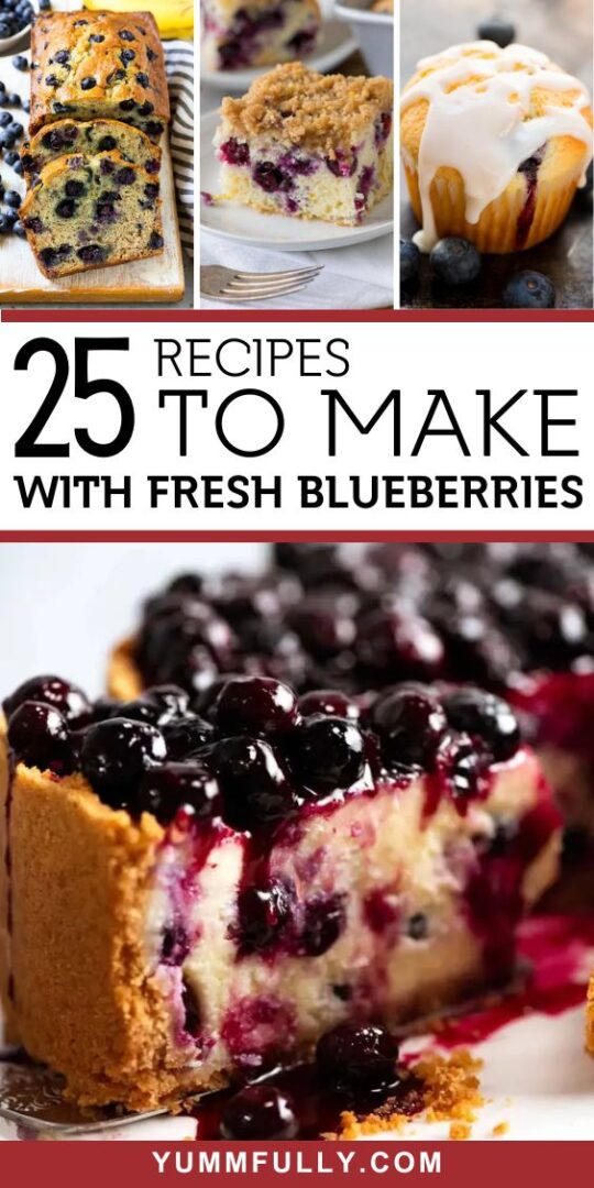21 Recipes to Make with Fresh Blueberries - Yummy and fully