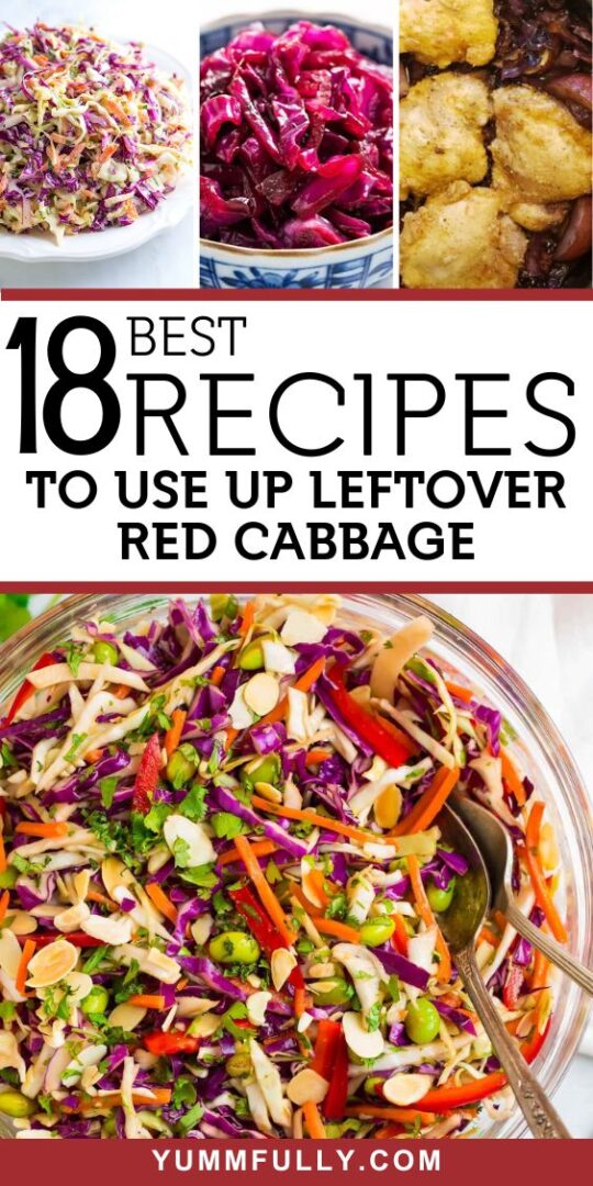 18 Best Recipes to Use Up Leftover Red Cabbage - Yummy and fully