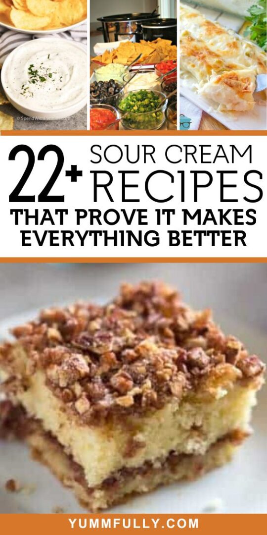 22+ Sour Cream Recipes That Prove It Makes Everything Better - Yummy ...