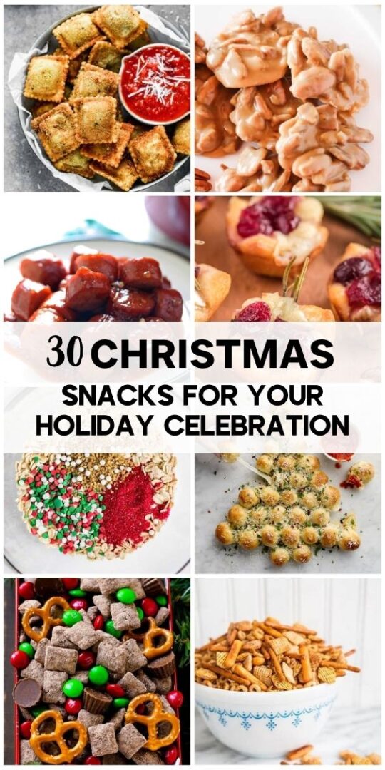30 Christmas Snacks for Your Holiday Celebration - Yummy and fully